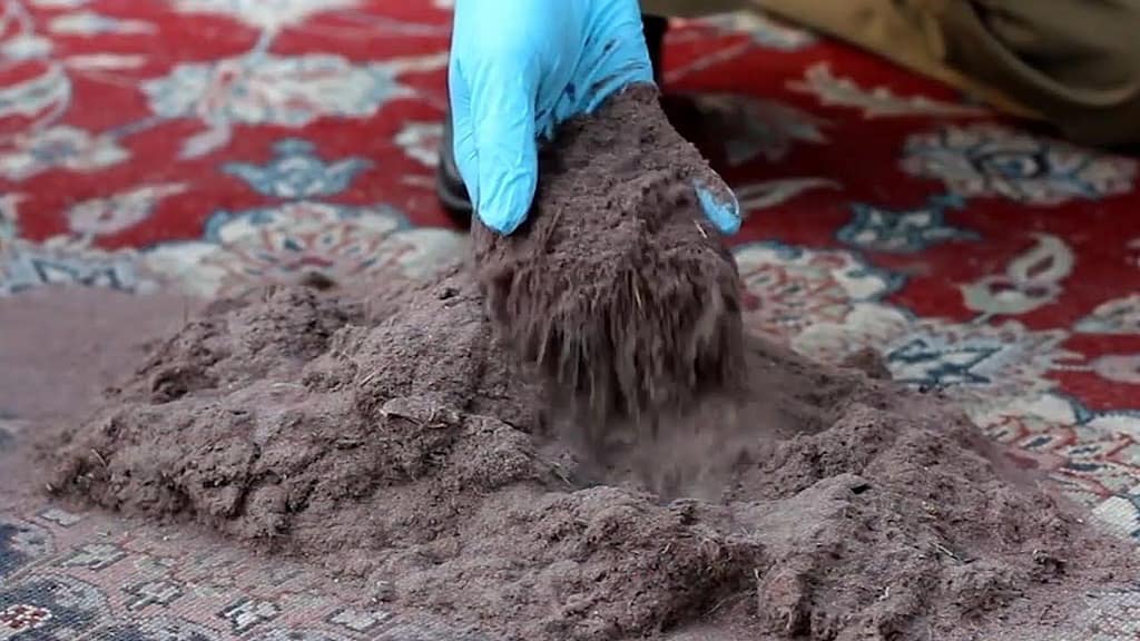 Easily Remove Allergens, Soils and Dirt Hidden in Carpets